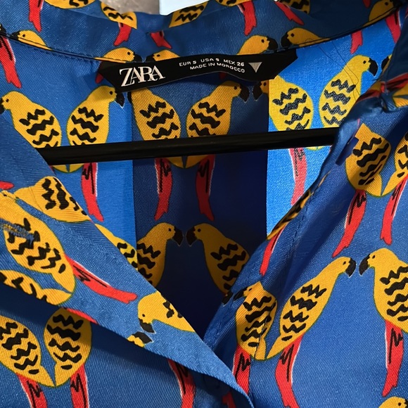 Zara | Tops | Zara Bird Crop Top | Poshmark